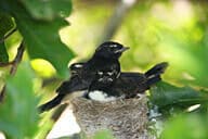 סוויטת סימה - Sima Suite, דירת נופש באשדוד | Weekend